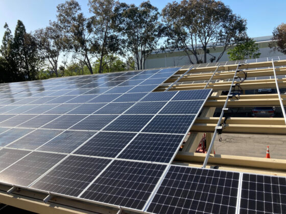 Services | Distributed Sun